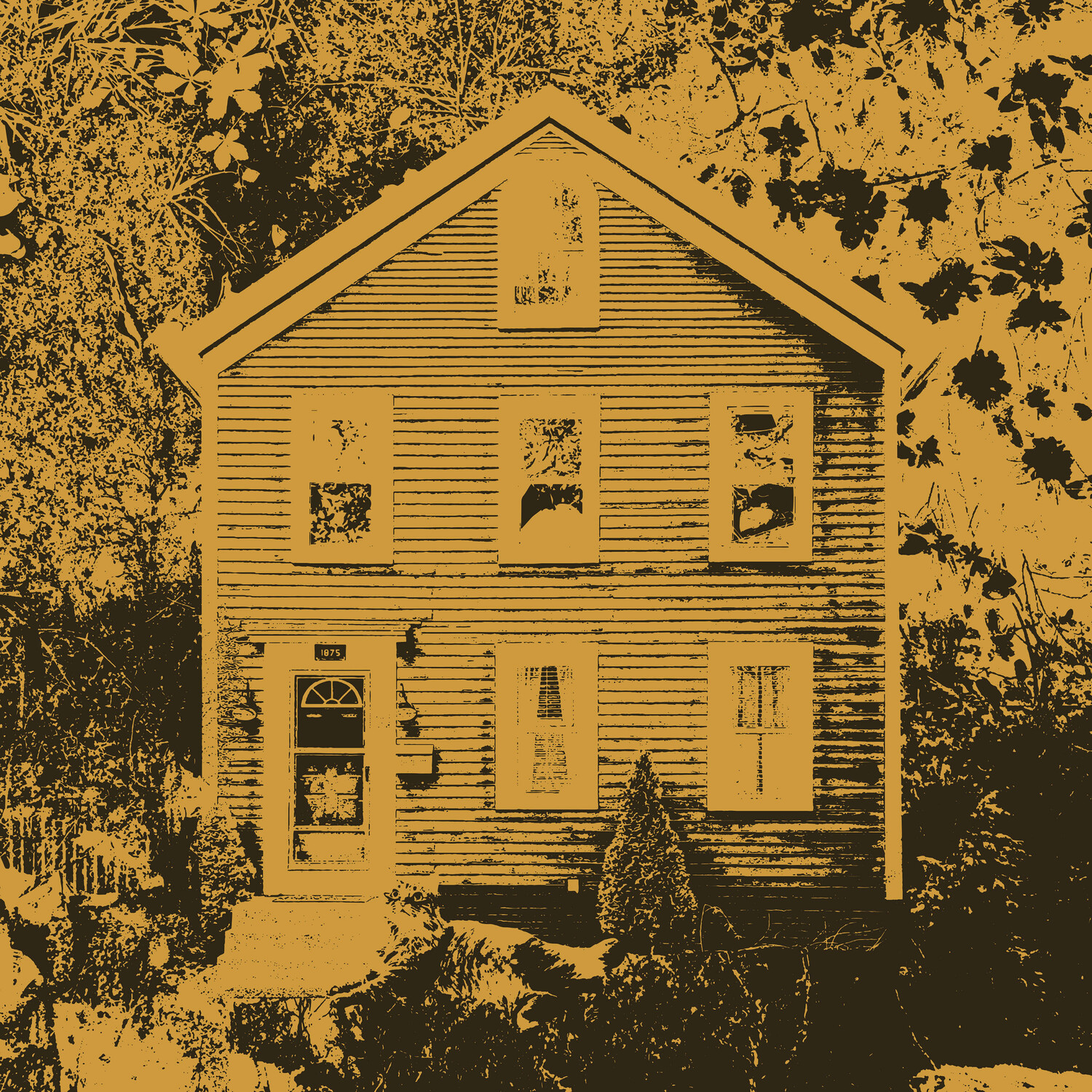 Gold dust shares "Proof of Life" & announces new album