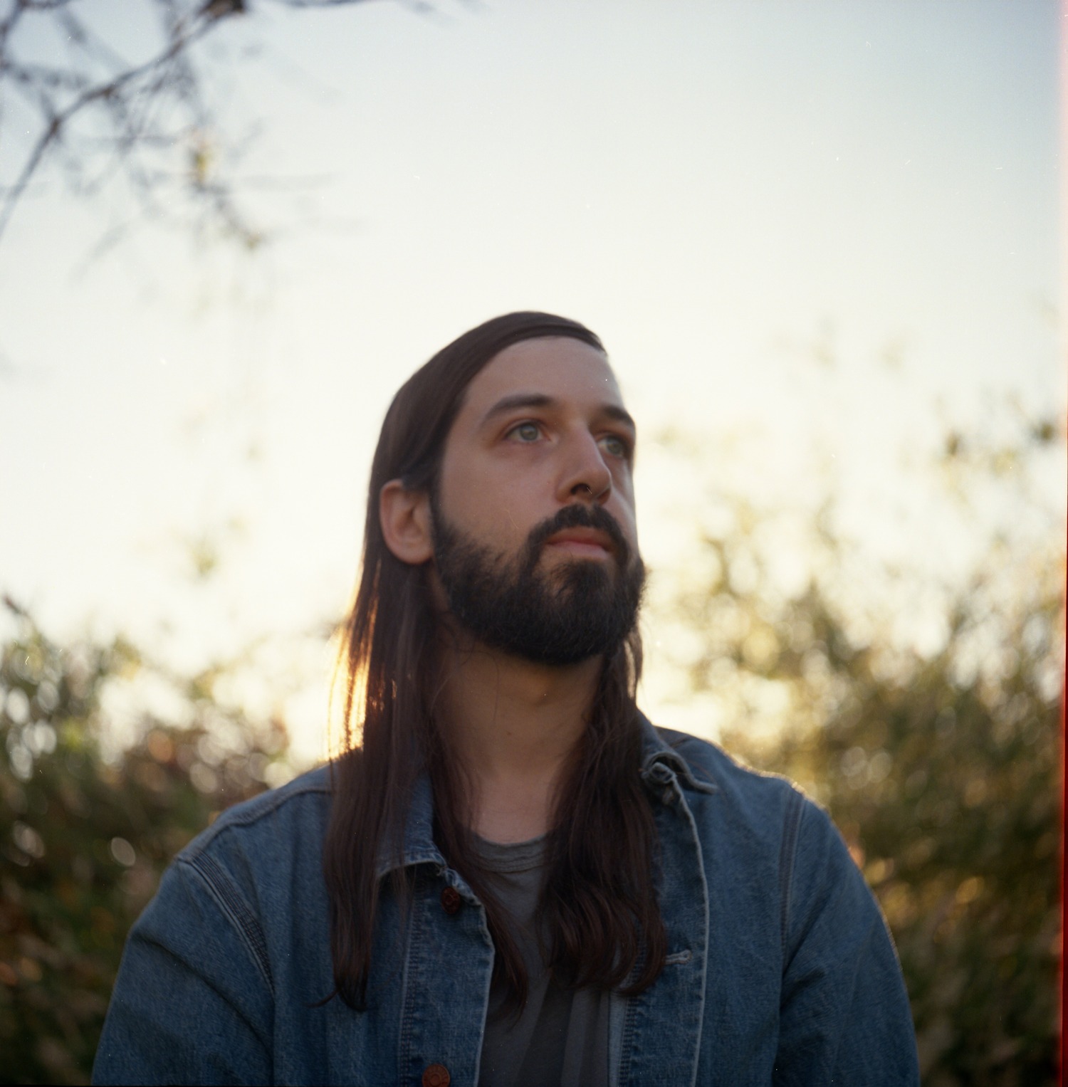 Jeffrey Silverstein – “Cowboy Grass” ‣ petal motel